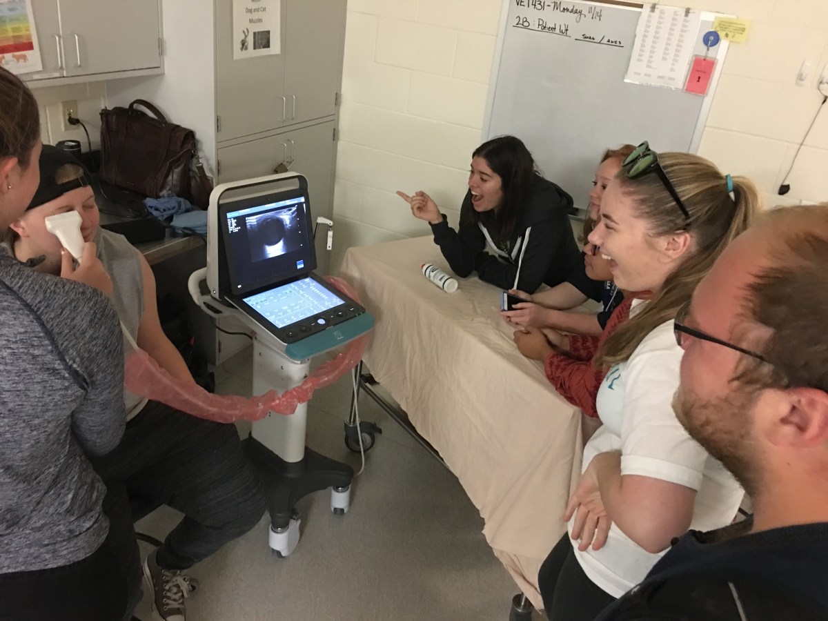 #POCUS for undergrad students: teaching wave physics, critical thinking ...